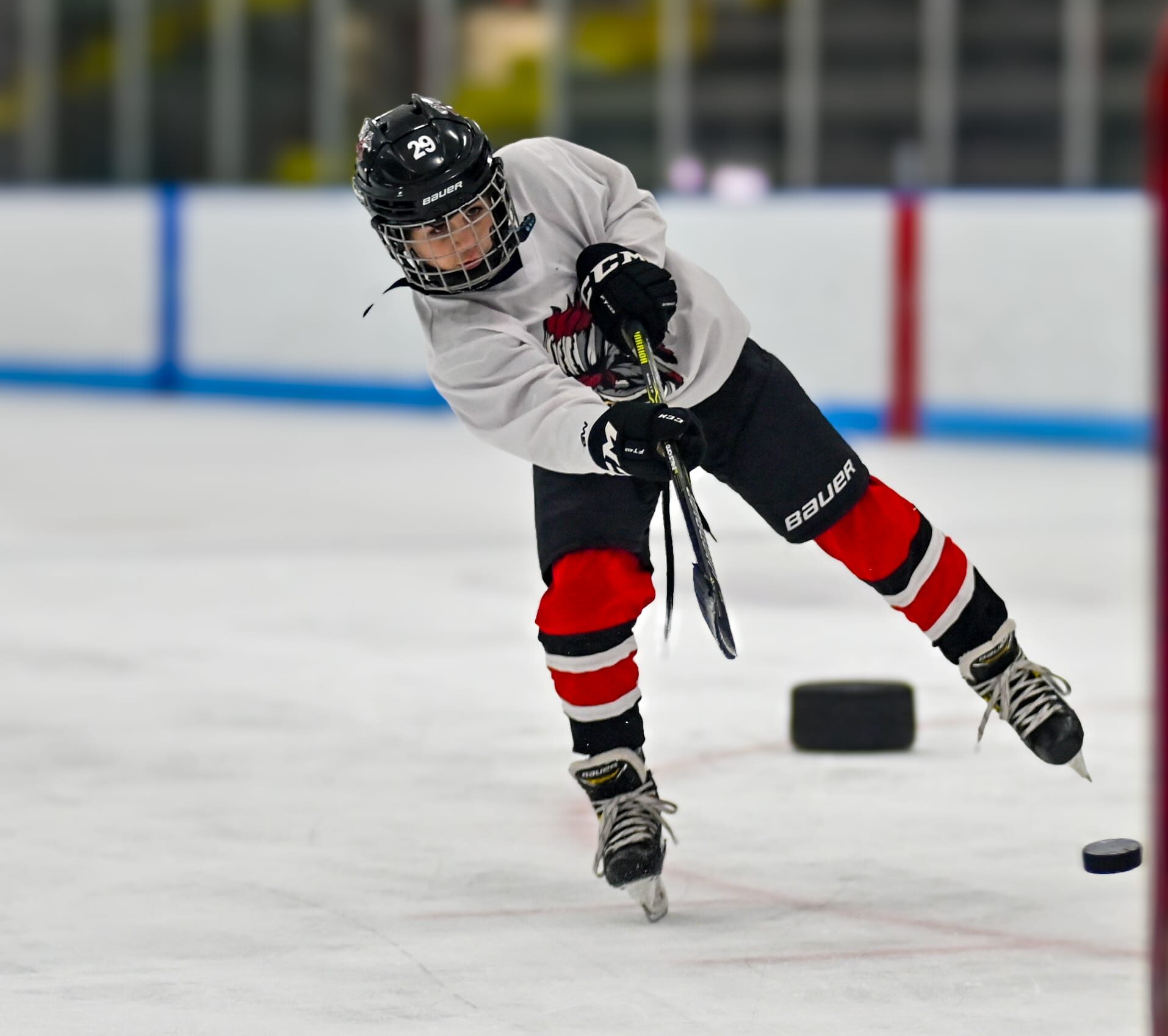 Public Skate - White Township Recreation - S&T Bank Arena